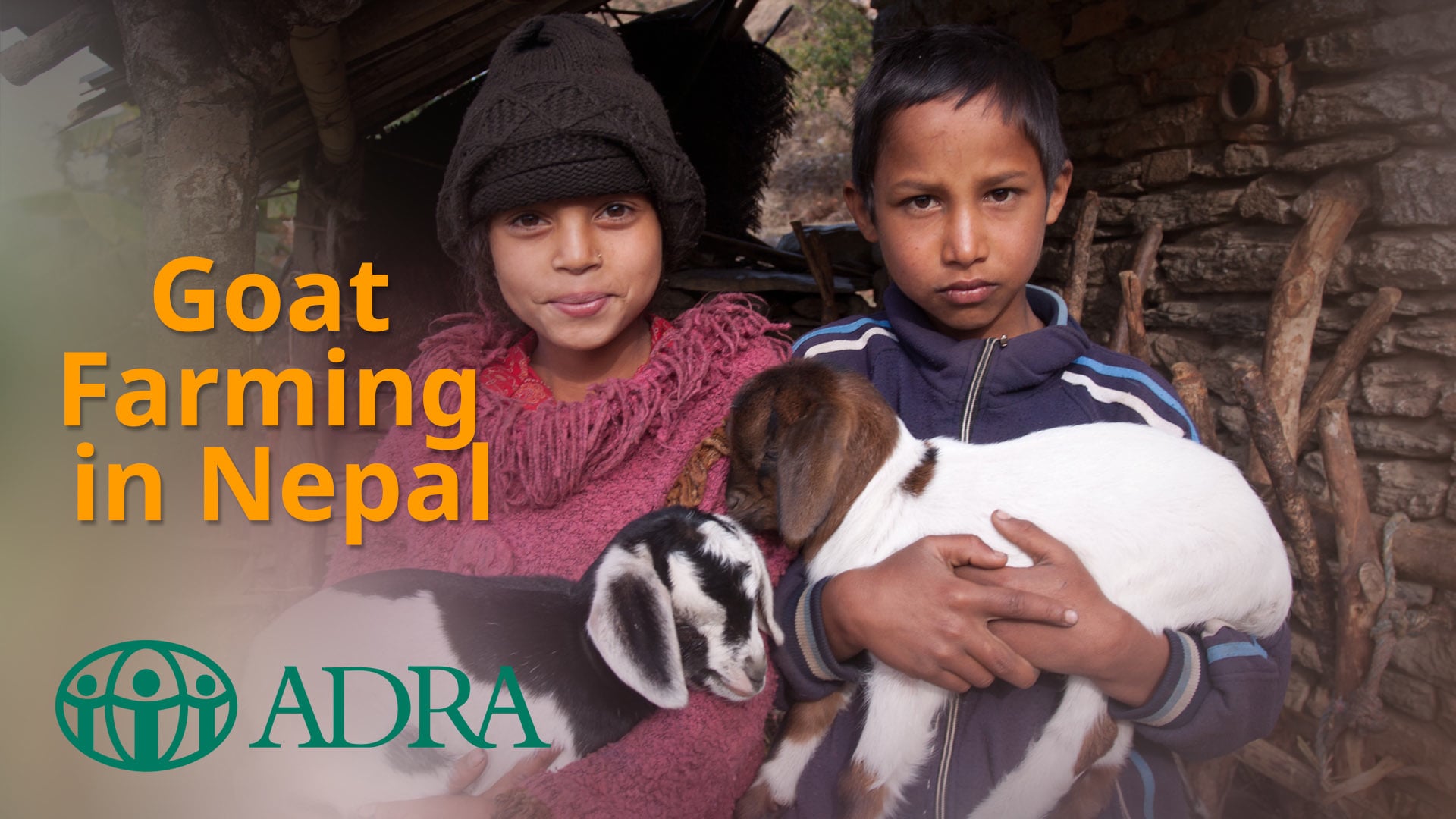 Goat Farming in Nepal - ADRA TV