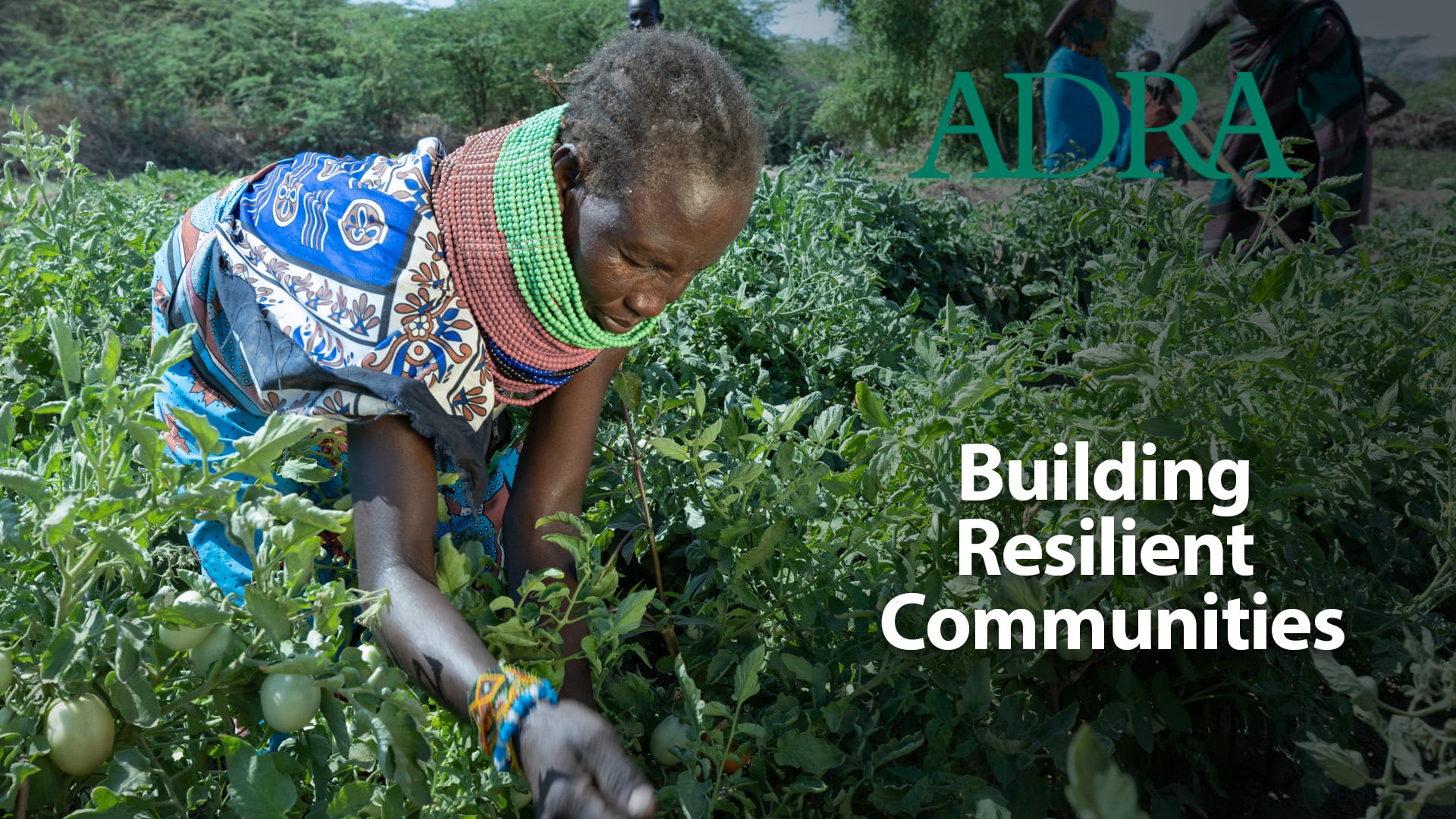 Building Resilient Communities - ADRA TV Building Resilient Communities - ADRA TV